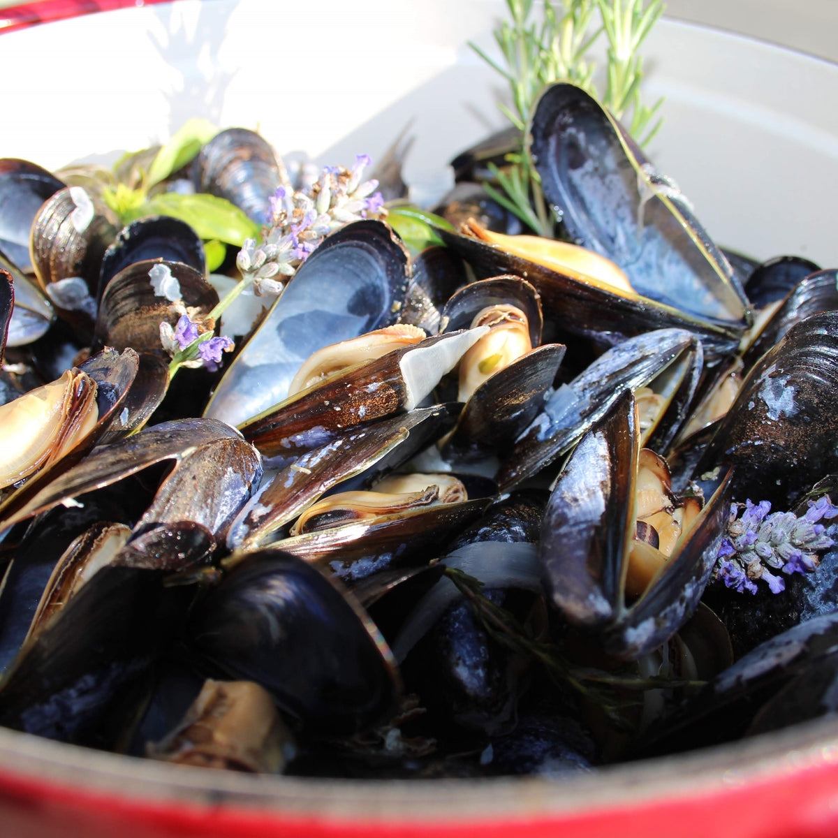 Mussels – Penn Cove Shellfish