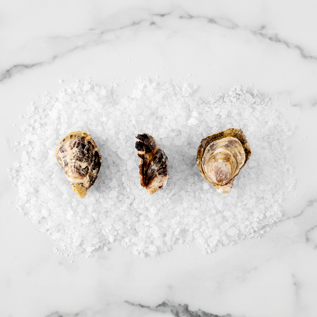 Sea Inlet – Penn Cove Shellfish